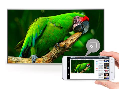Tcl P615シリーズ Android テレビ スマートtv Tclジャパン