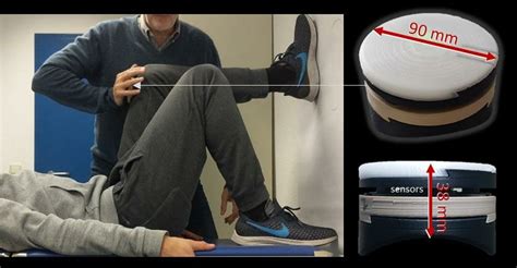 Setting Of MMT Of The Hip Flexors With Fixed Leg Including The Handheld Download Scientific