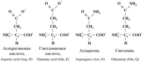 Aminoacids — Md Simulations Documentation