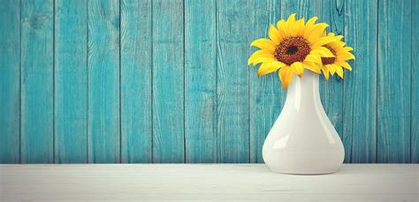 Однина і множина