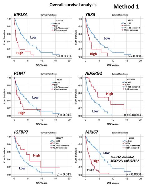 Overall Survival Analysis Method 1 Continuation Because Of The Download Scientific Diagram