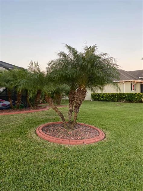 Grass Ninja Lawn Care Llc