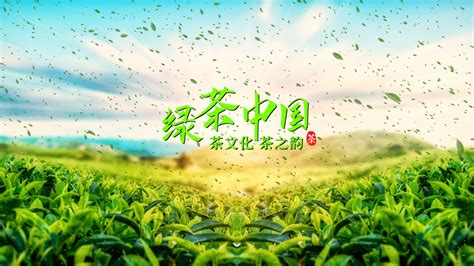 茶韵茶道文化pr模板视频模板 编辑模板编号119521 摄图云编辑