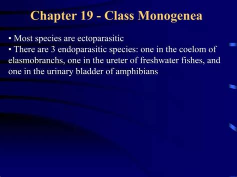 Ppt Chapter 19 Class Monogenea Most Species Are Ectoparasitic Powerpoint Presentation Id