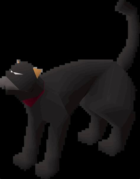Gertrudes Cat Osrs Guide Rune Fanatics