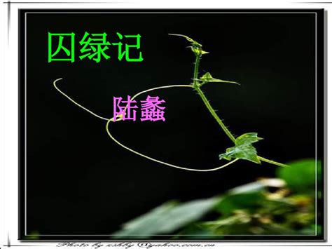 囚绿记 公开课word文档在线阅读与下载无忧文档