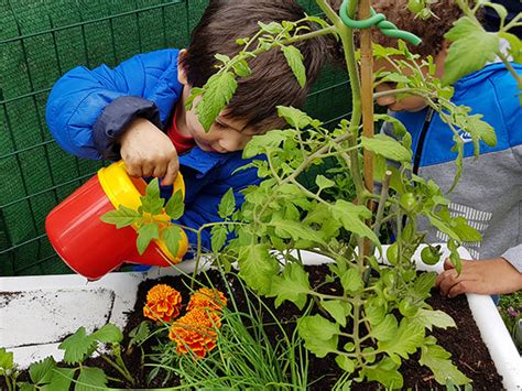 À la crèche Pollux le jardin pédagogique fait des merveilles