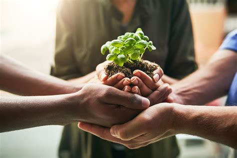 Desarrollo Sostenible Compromiso Ambiental Masisa