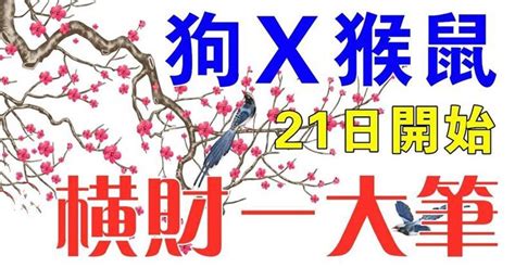 10月21號開始財運連旺的生肖，迎接滿滿的好運勢 Peekme