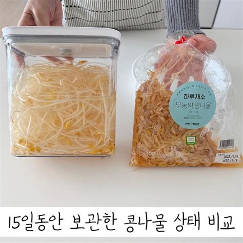 보관유통기한 자리 늘려주는 냉장고 식재료 정리 팁 진공밀폐용기 브랜드 추천 칸 별 수납 위치 네이버 블로그