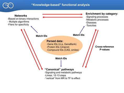 Ppt Metacore Data Analysis Suite And Functional Analysis Powerpoint