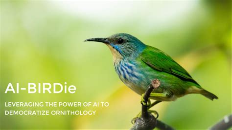 Github Nehadadarwala Bird Classification Audio Api