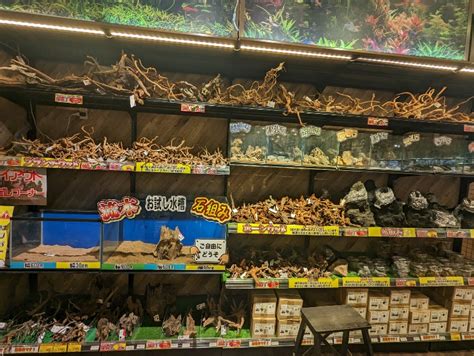 【スーパーセンターイズミヤ八幡店】レイアウト素材祭り開催中！！！ イズミヤショッピングセンター八幡店