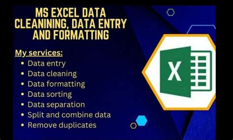 Do Any Excel Work Data Entry Formulas Pivot Tables More By Ash1ish