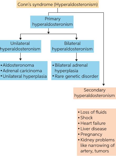Hyperaldosteronism My Notes
