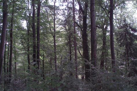 Fire Gan A Novel Deep Learning Based Infrared Visible Fusion Method