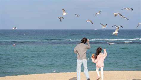 참을 수 없는 유혹 팝코넷 포토 갤러리