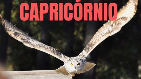 CapricÓrnio 👂ouÇa Esse Recado Com Cautela⭐️ Tarot Capricórnio