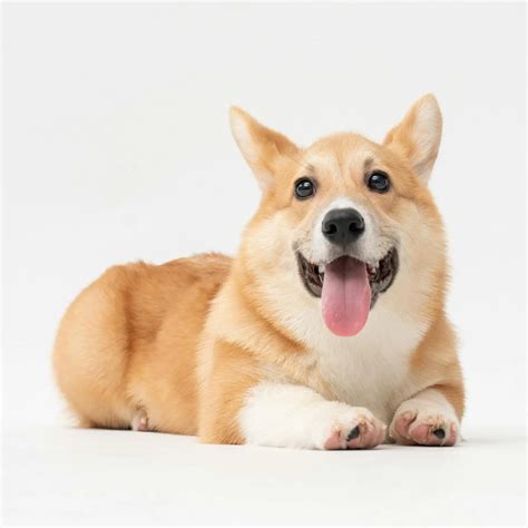 Добавьте Синий Фон к Изображениям Онлайн Бесплатно