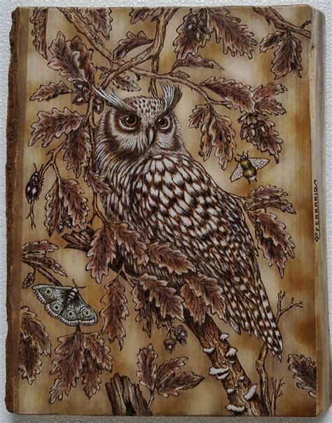 Owl Pyrography By Carlo Ferrario The Owl Pages