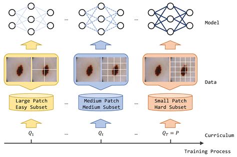Curriculum Consistency Learning And Multi Scale Contrastive Constraint In Semi Supervised