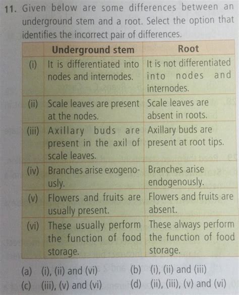 Given Below Are Some Differences Between An Underground Stem And A Root