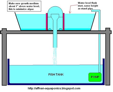Pond Siphon Design At Donna Willey Blog