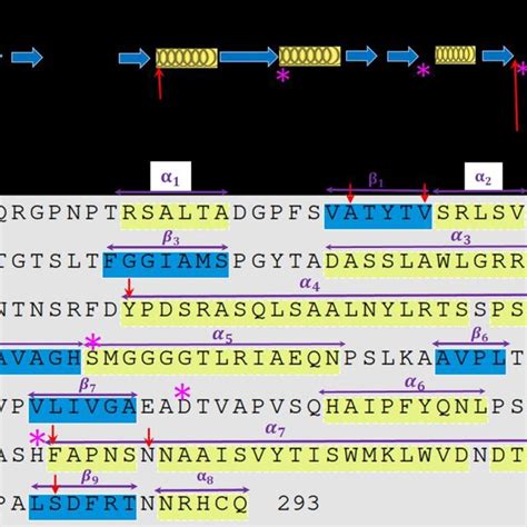 Overview Of In Silico Engineering Of Lcc A The Structure Of Lcc From