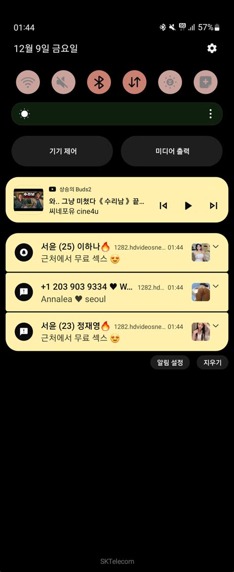 크롬 이상한 알림 지식in