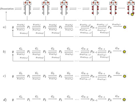 Kinetic Proof Reading Diagram A Markovian Model B Model With