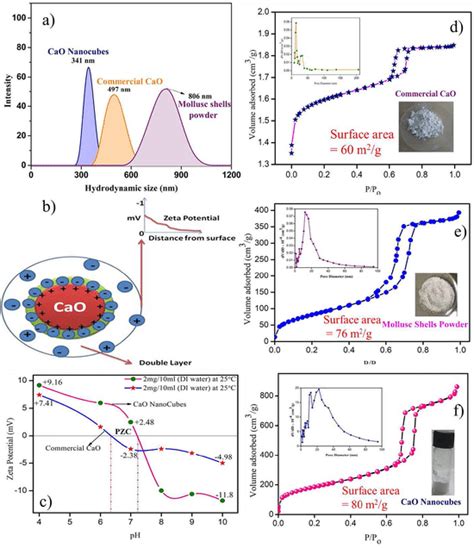 A Dls Particle Size Distribution B Schematic For The Cause Of Zeta