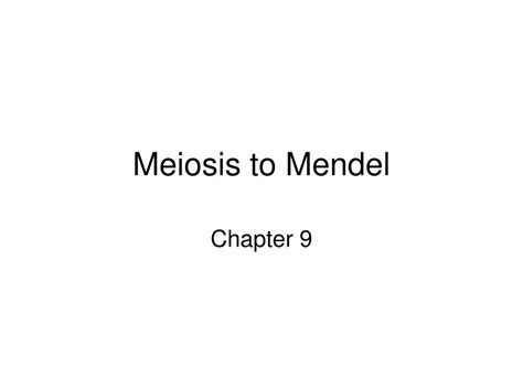 Ppt Meiosis To Mendel Powerpoint Presentation Free Download Id4145201