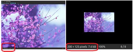 Working With Images In Python GeeksforGeeks