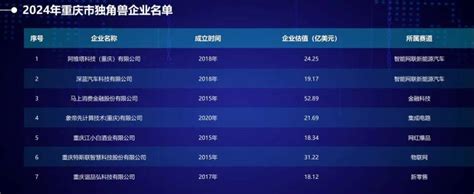2024年中国独角兽企业名单公布 重庆7家企业上榜 东方财富网