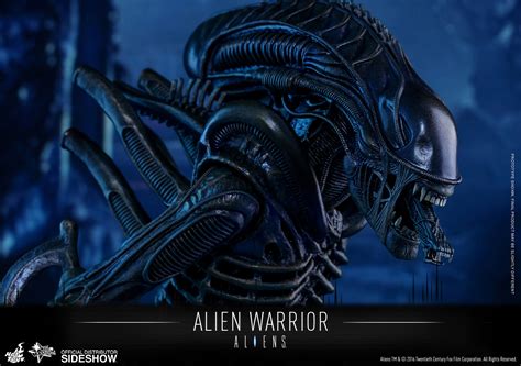 Alien Warrior Sixth Scale Figure Geekalerts
