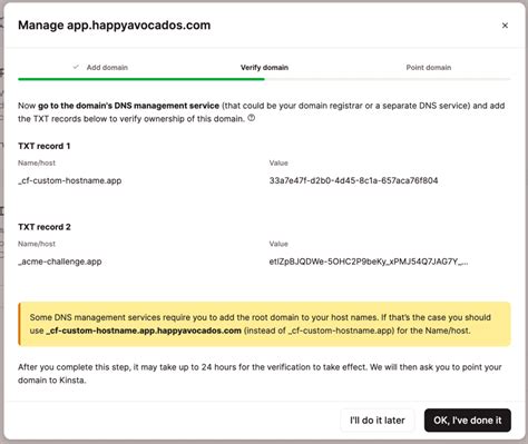 Application Hosting Domains Kinsta® Docs