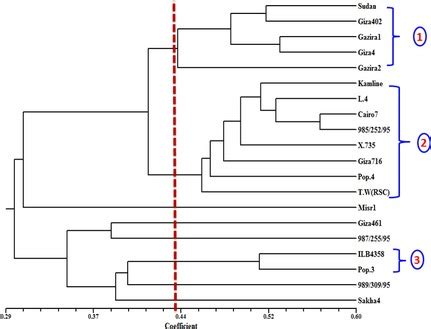 Dendrogram Produced By Jaccard S Coefficient And The Unweighted Pair