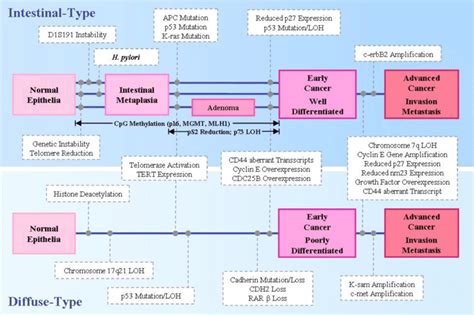 The Multi Step Molecular Pathogenesis Of Gastric Cancer The Multistage