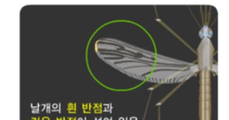 김포·파주시에 말라리아 경보경기도 올해 첫 발령
