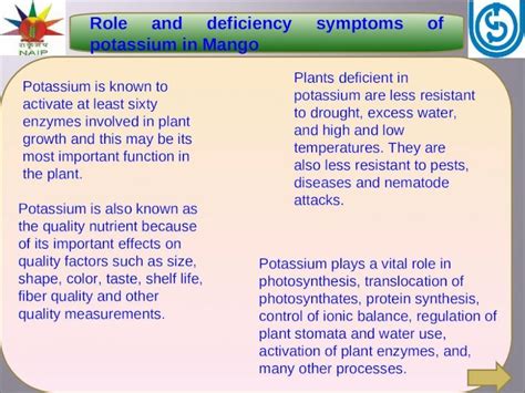 Ppt Role And Deficiency Symptoms Of Potassium In Mango Dokumen Tips