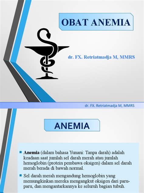 12 Obat Anemia I Pdf
