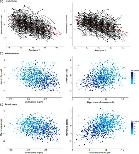 Age Related Working And Episodic Memory Performance By White Matter Download Scientific Diagram