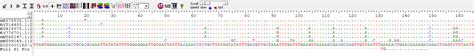 Primer Template Mismatch Researchgate
