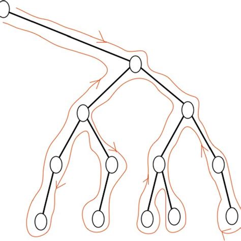 vertices of the tree are ordered with respect to the first visit by the