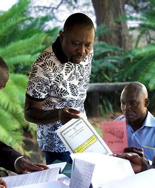 Tree Plotter Cities Forests