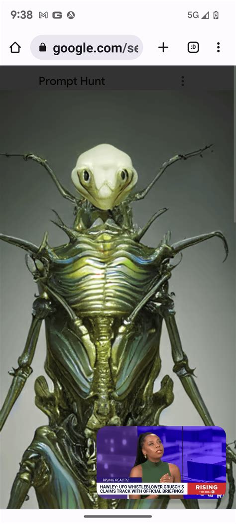 Insectoid Mantis Evidence And Comparison Photos Ralienevidence