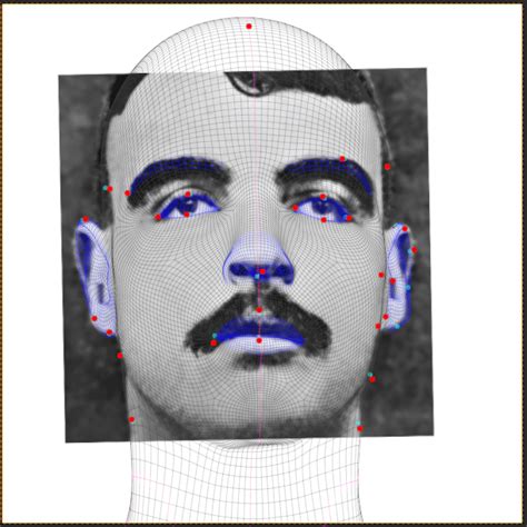 Face Matching Rpicrequests