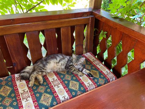 Как просто и вкусно питаются крымские татары Наш обед в самом злачном месте кафе «Мейхане