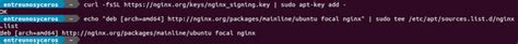 lemp nginx mariadb y php instalación en ubuntu 20 04
