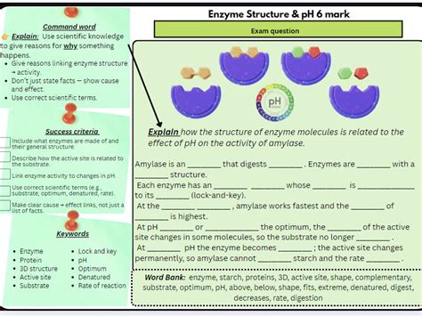 Enzyme Structure And Ph 6 Mark Exam Question Scaffolded
